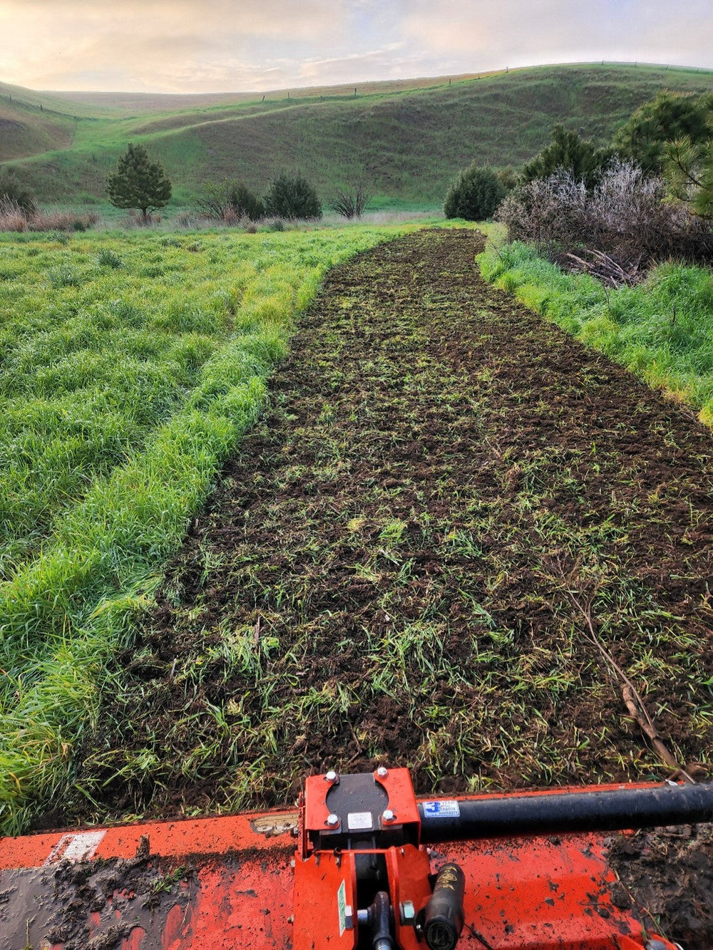 Establishing Wildlife Food Plots: A Step-by-Step Guide for Landowners ...