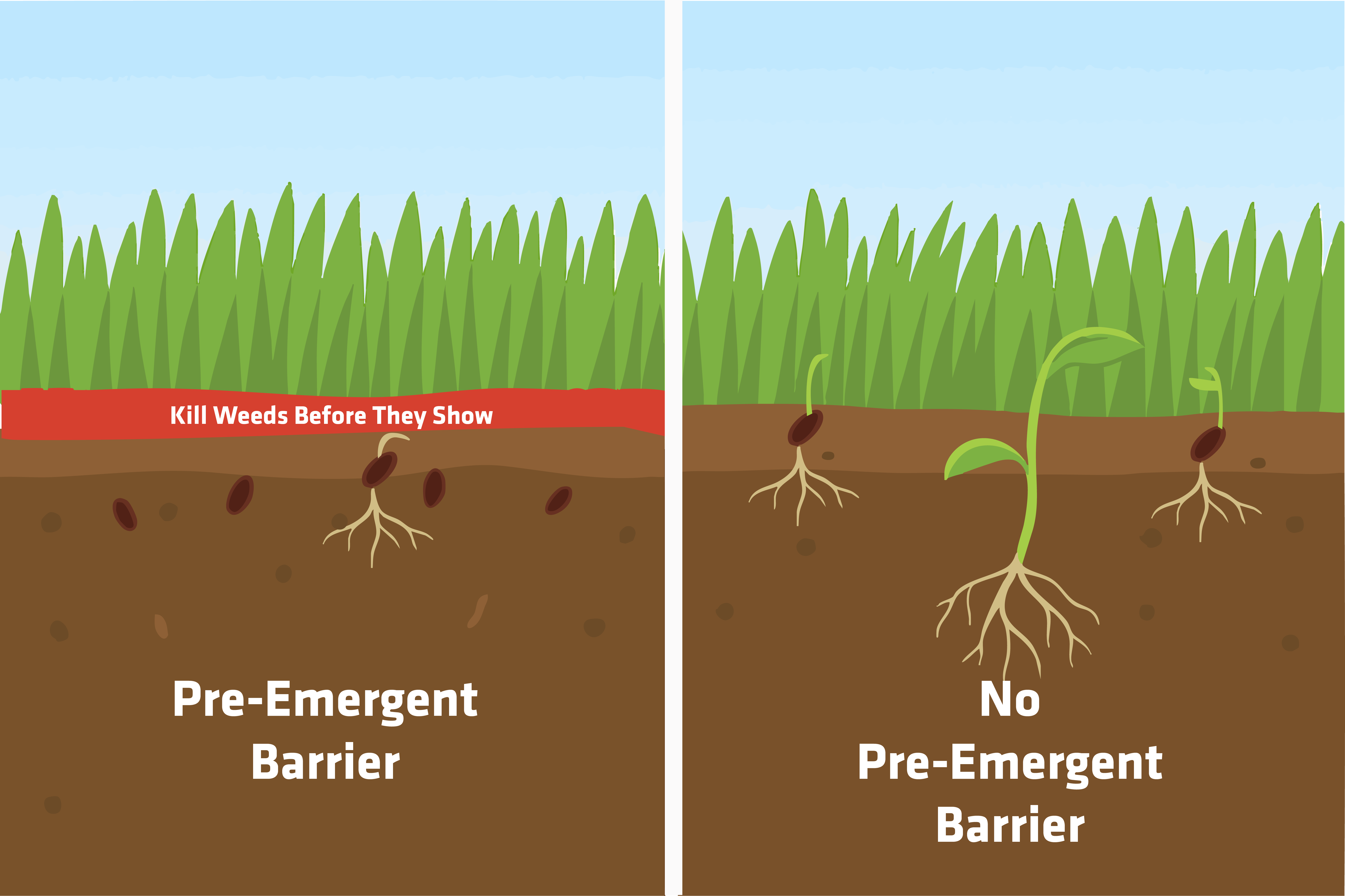 When And Why To Apply Fall Pre-Emergent To Your Lawn – MySoil