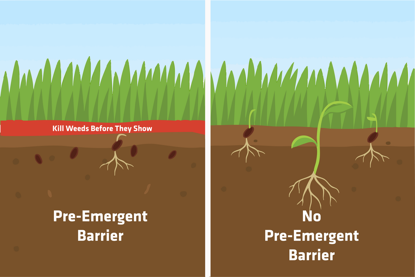 When And Why To Apply Fall Pre-Emergent To Your Lawn – MySoil