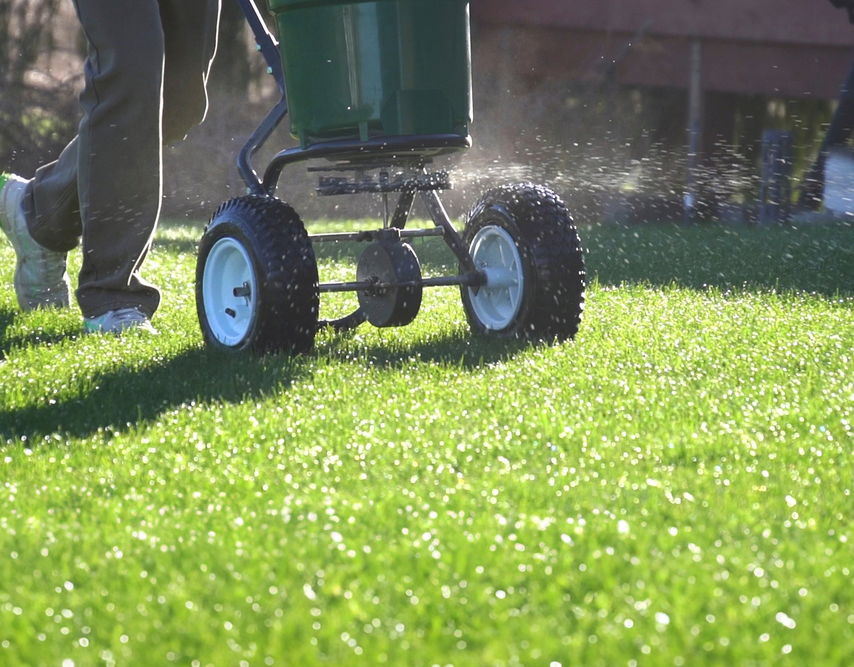 When and Why Should I Apply Pre-Emergent to My Lawn This Spring? – MySoil