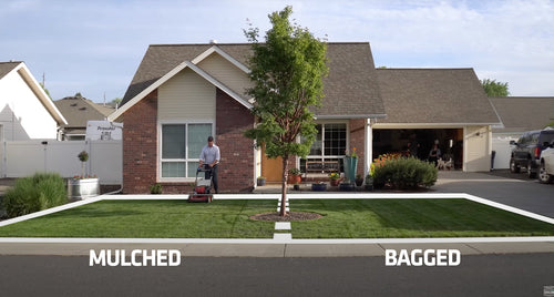Lawn Care Guide: How Mulching or Bagging Grass Clippings Affects Soil ...