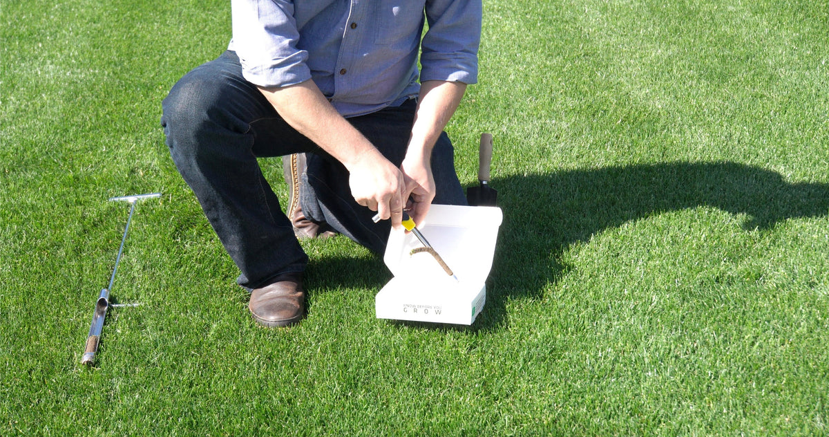 How to Take a Soil Sample for Accurate Lawn and Garden Testing A Step ...