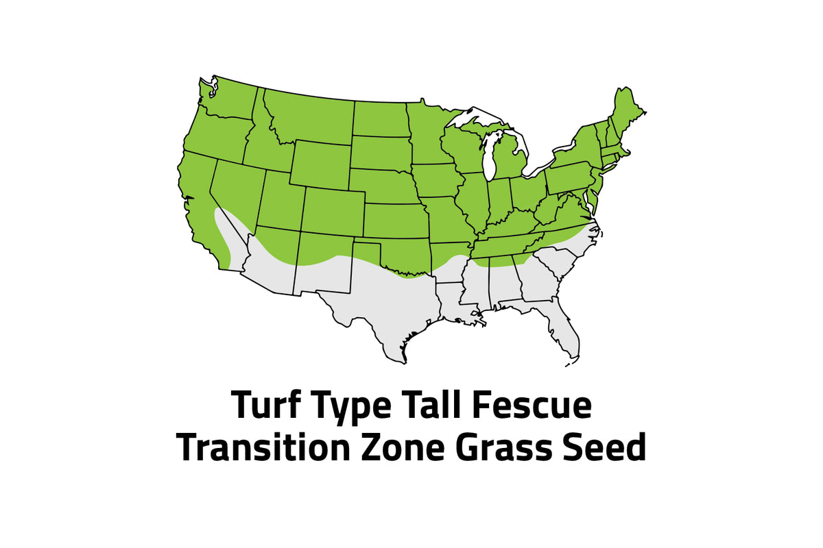 DIY Premium Double Dark Green (TTTF) – MySoil