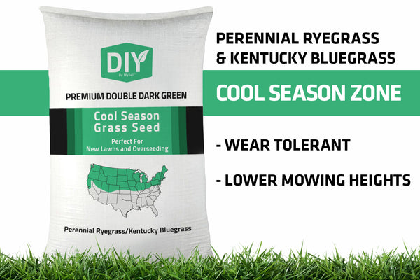 how to make grass deep green