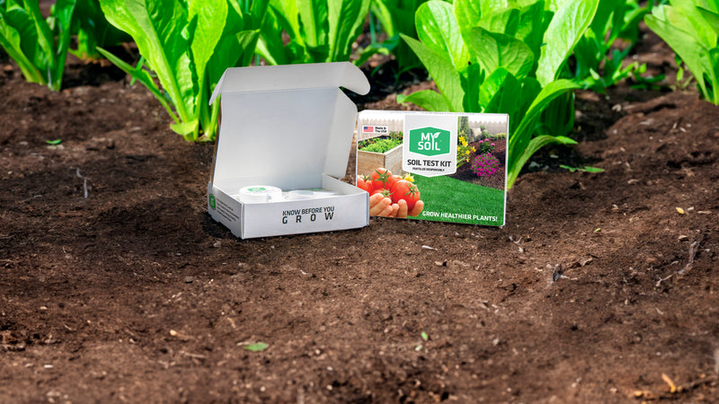 MySoil Test Kit